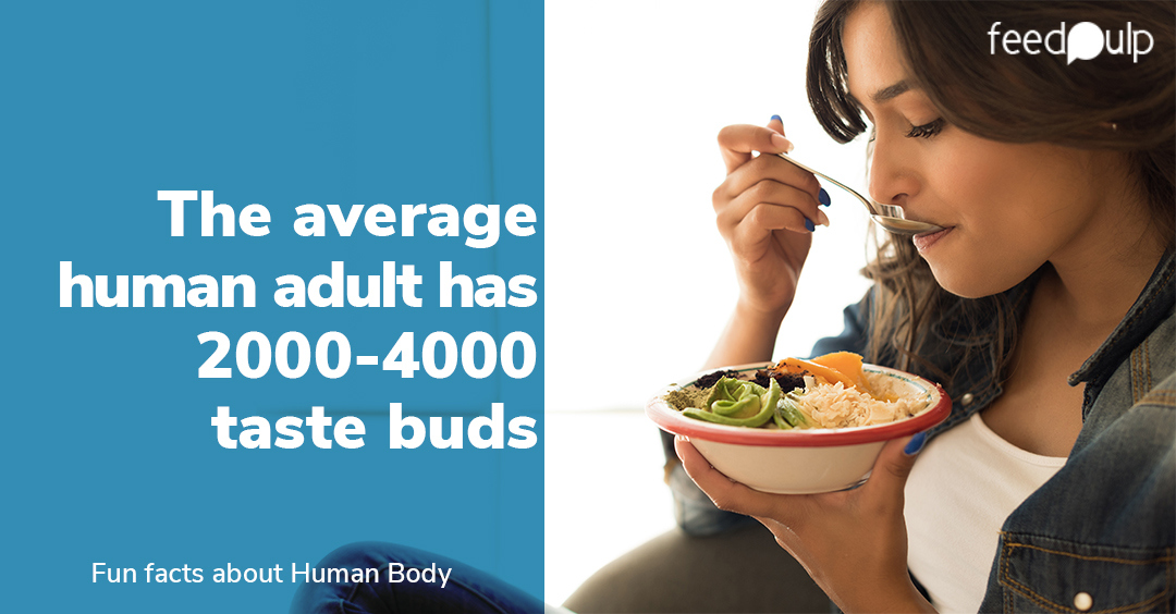 Some Fun Facts About the Human Body